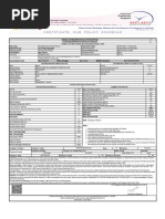 SAFA Ramp Checklist | PDF | Vehicles | Manufactured Goods