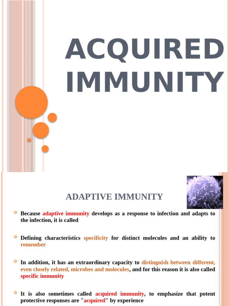 Acquired Immunity 300level | PDF | Immune System | Adaptive Immune System