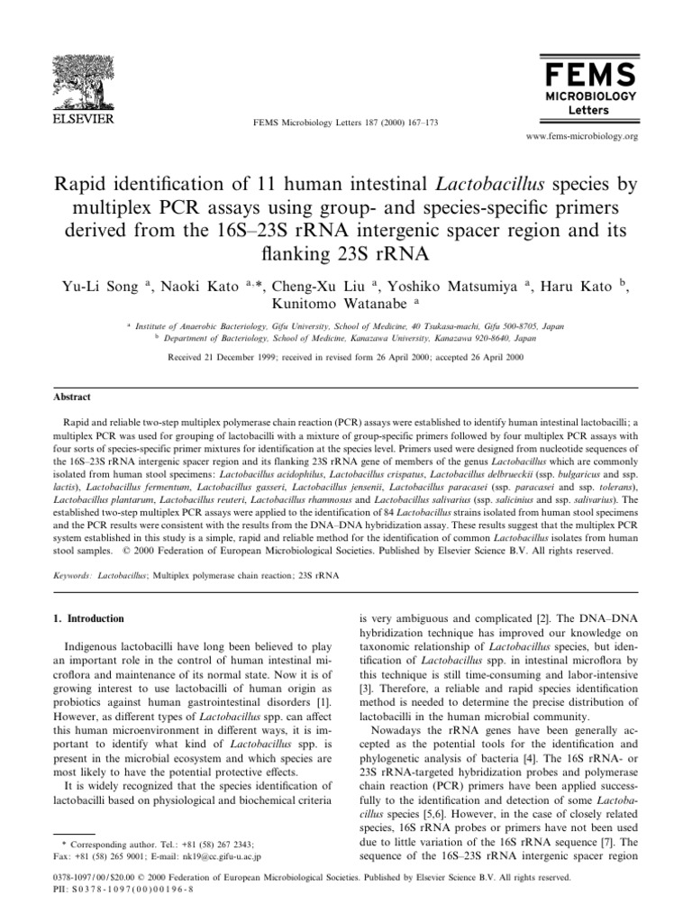 Articulo para Primer Especificos | PDF | Lactobacillus | Polymerase ...