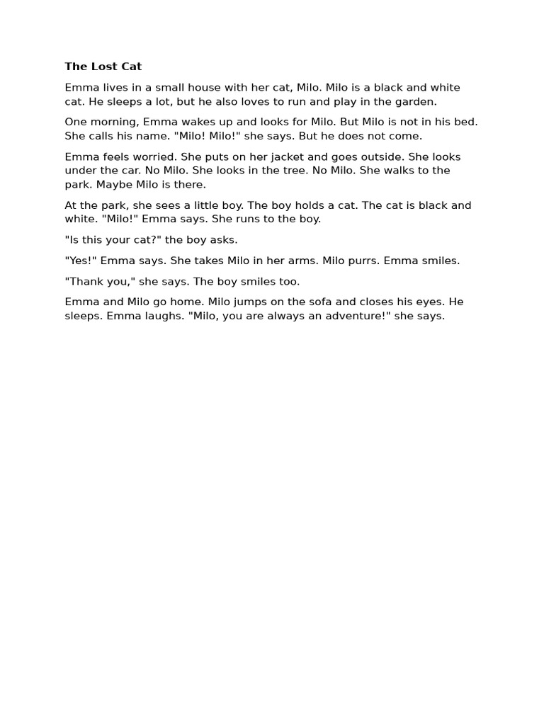 The Lost Cat | PDF