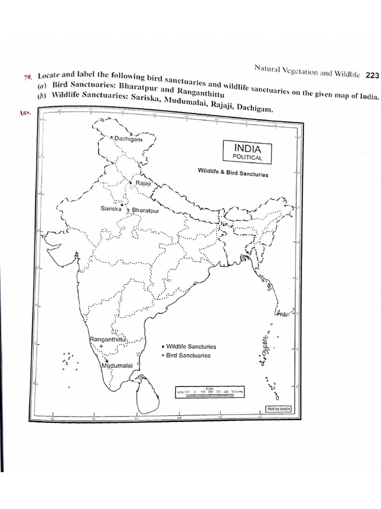 Maps of Natural Vegetation and Wildlife | PDF
