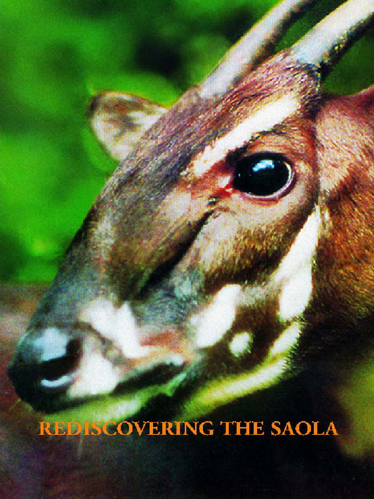 Saola Conservation Workshop Proceedings | PDF | Conservation Biology ...