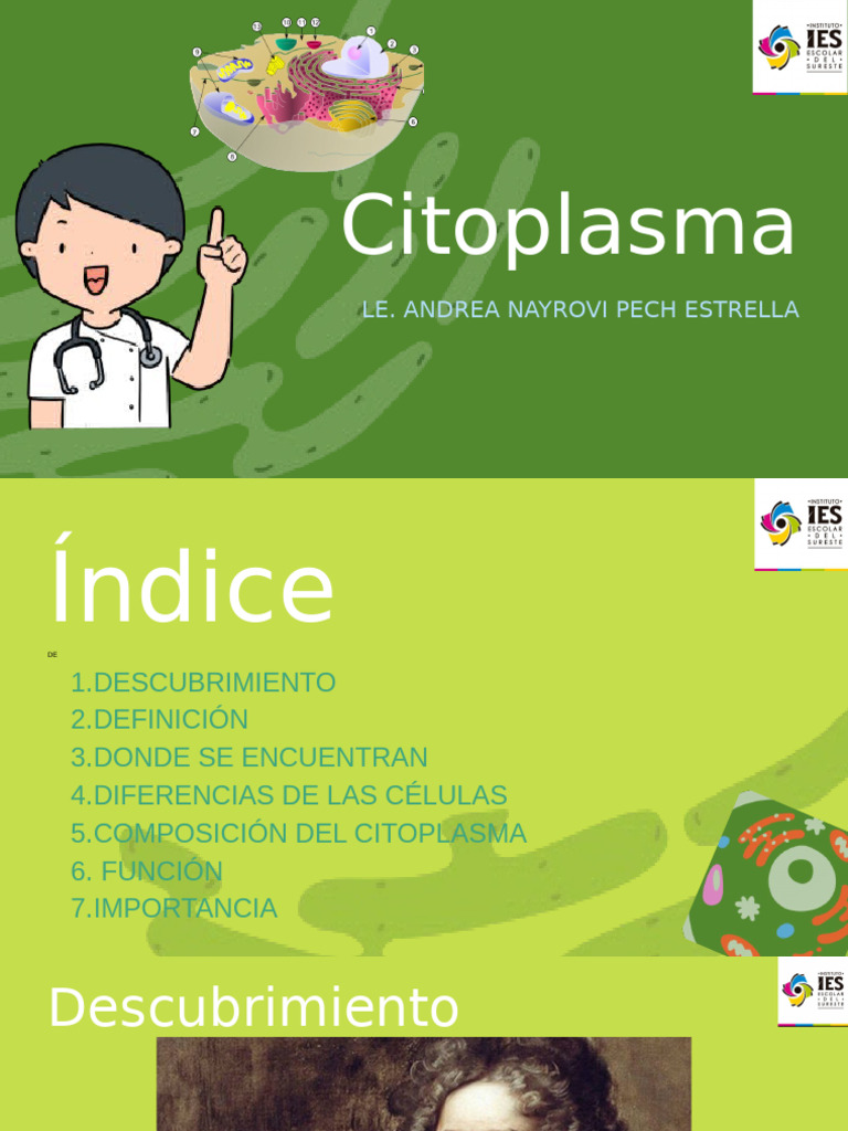 Funciones y Composición del Citoplasma | PDF | Citoplasma | Biología Celular)