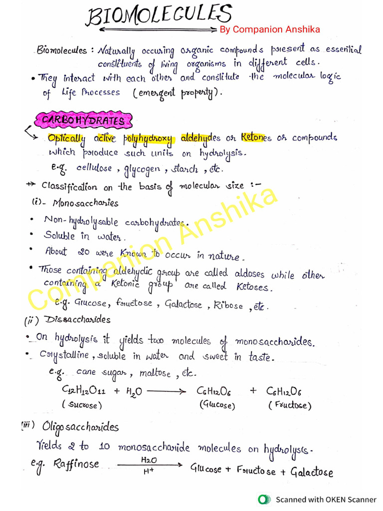 Biomolecules Class 12 Chemistry Notes by Companion Anshika 2024-25 | PDF