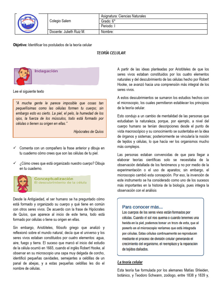 Comparación de la Teoría Celular | PDF | Biología Celular) | Teoría