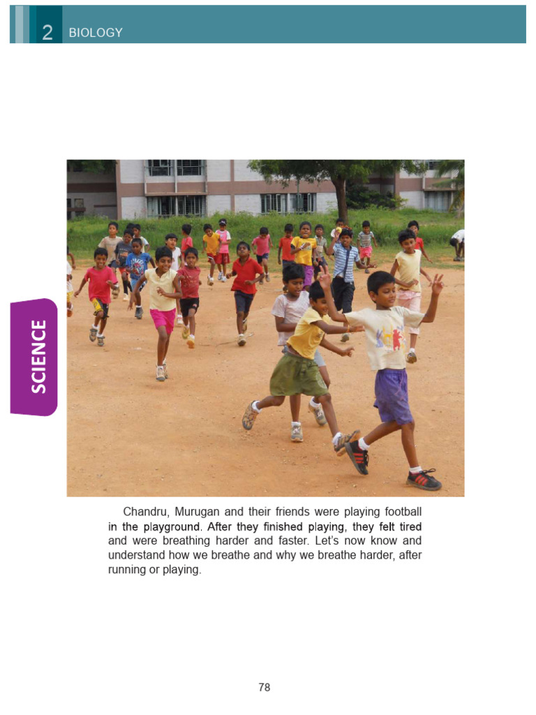 Respiration in Plant and Animals | PDF | Respiratory System | Lung