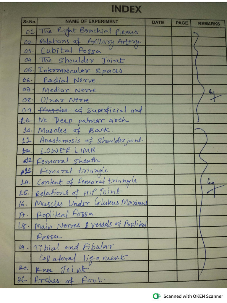 Anatomy Practical | PDF