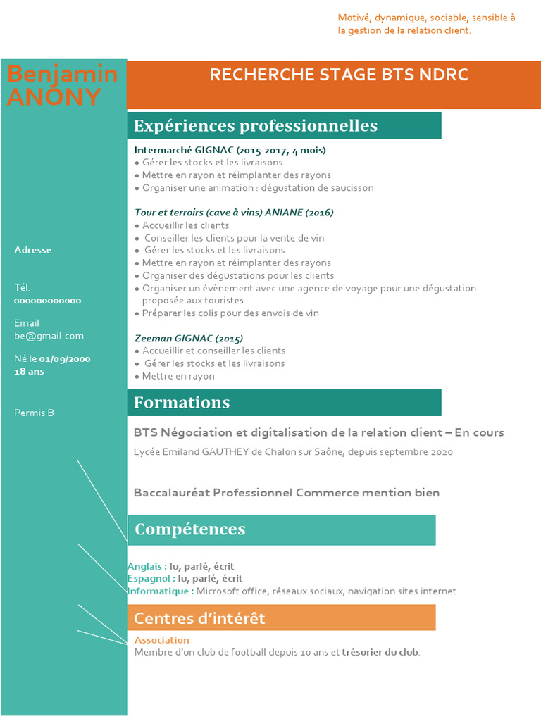CV Benjamin Bac Pro | PDF