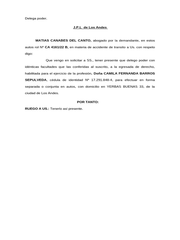 Delega Poder Cami | PDF