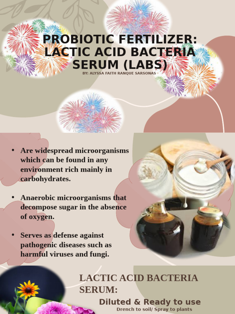 Probiotic Fertilizer: Lactic Acid Bacteria | PDF | Plant Hormone | Compost