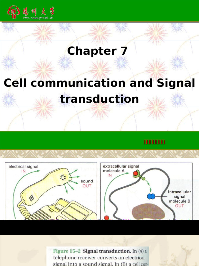 7.cell Communication and Signal Transduction | PDF | Cell Signaling | Signal Transduction