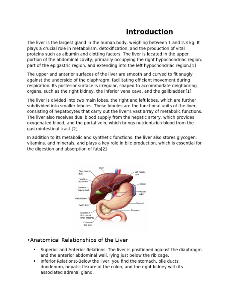 Anatomy and Functions of the Liver | PDF | Cirrhosis | Liver