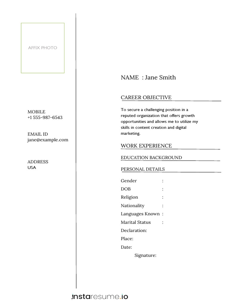 Professional Biodata Template | PDF