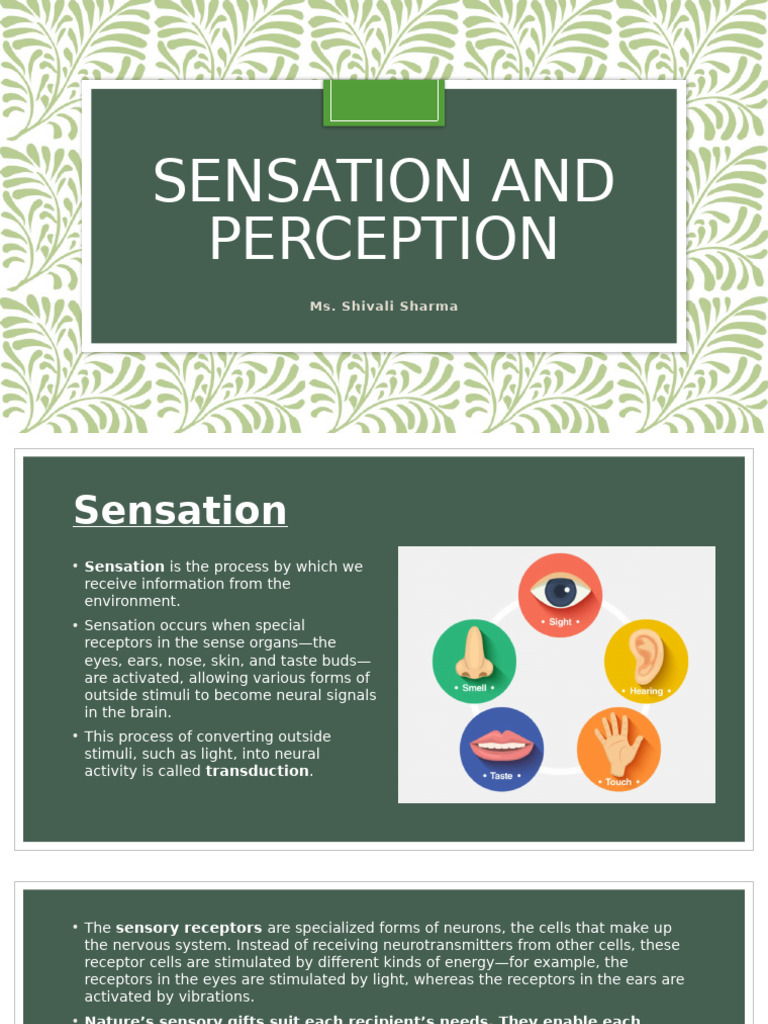 Understanding Sensation and Perception | PDF | Senses | Hearing