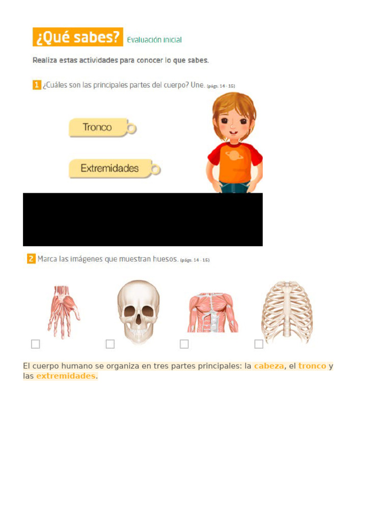 Naturales Hueso | PDF