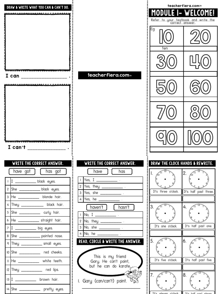 Year 3 Brochure Unit 1 - Welcome! | PDF