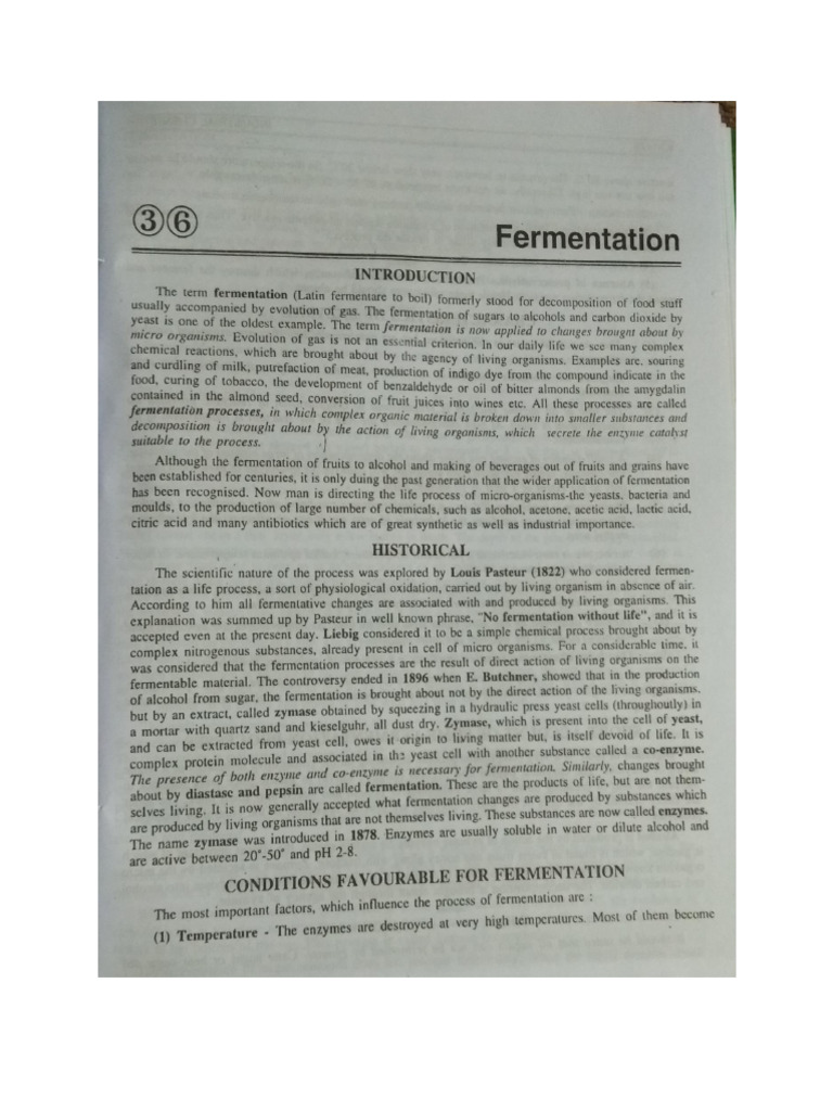 Industrial Alcohol Production Process | PDF | Ethanol | Beer