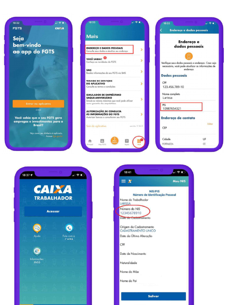 Passo A Passo PIS | PDF