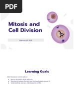 Mitosis Mover Webquest Bioman PDF | PDF | Mitosis | Chromosome