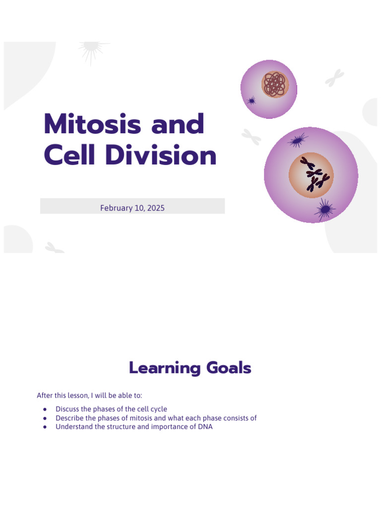 Lesson 5 - Mitosis and Cell Division | PDF | Mitosis | Chromosome