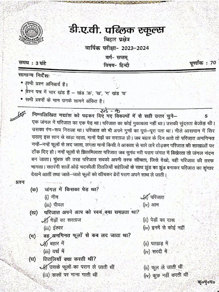 DAV Bihar Class VII Annual Hindi QP | PDF