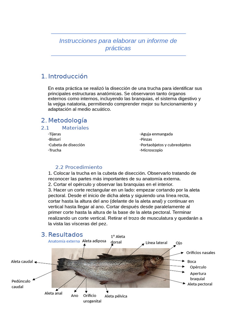 Informe de Prácticas Disección de Trucha | PDF | Anatomía | Trucha
