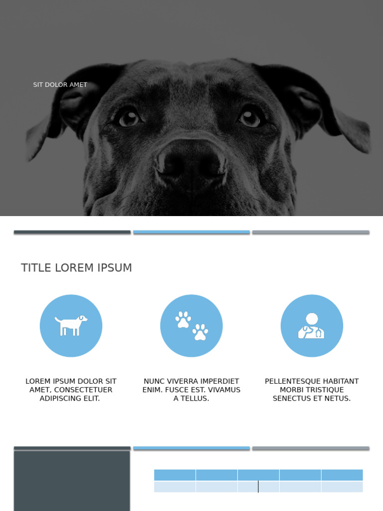 Filei's Dog | PDF