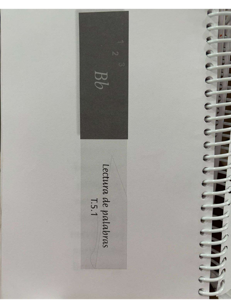 Baneta Material Apoyo | PDF
