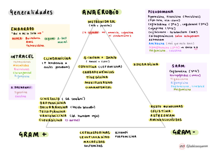 Triángulo ATB | PDF | Antibióticos | Drogas