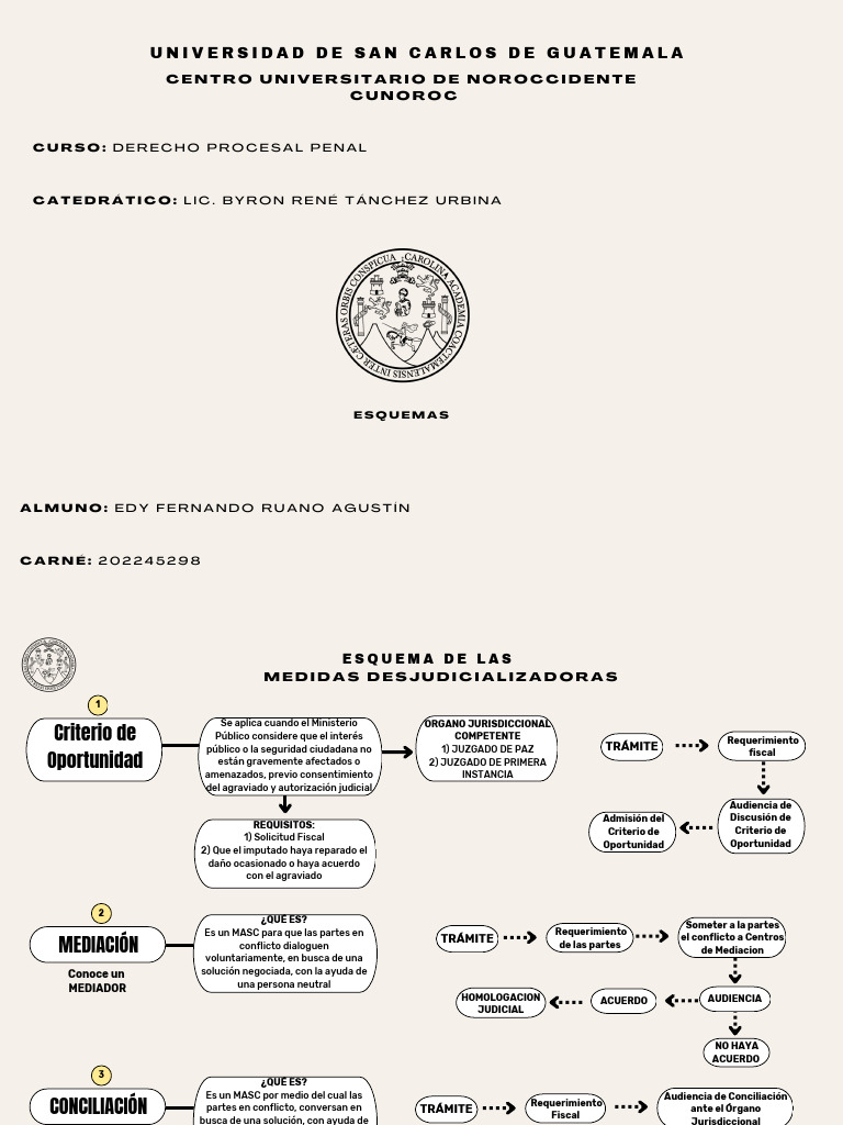 Esquemas Sobre Derecho Procesal Penal | PDF | Apelación | Mediación