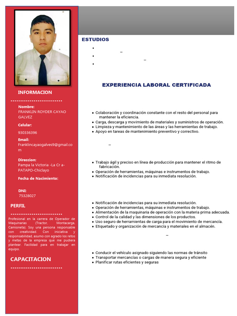 CV Cayao Galvez Franklin Royder-01 | PDF