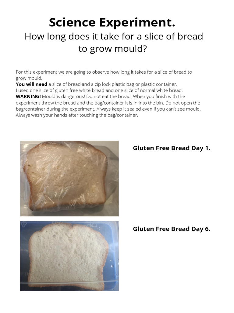 Bread Mold Growth Observation Days 1-17 | PDF