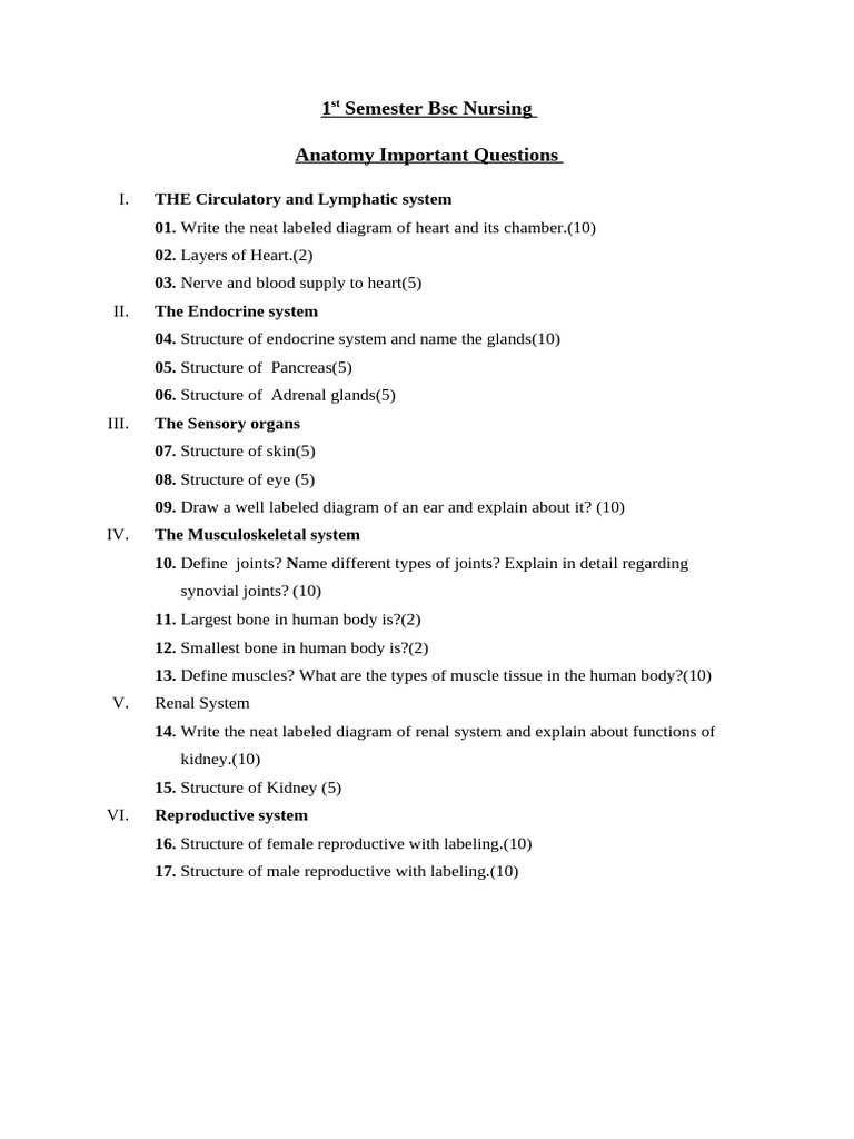 Anatomy IMP Questions | PDF
