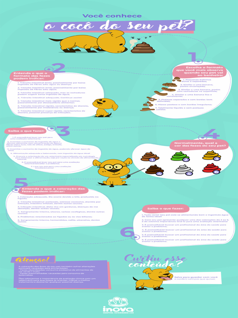 Blog Como o Coc Do Seu Pet-V2 | PDF