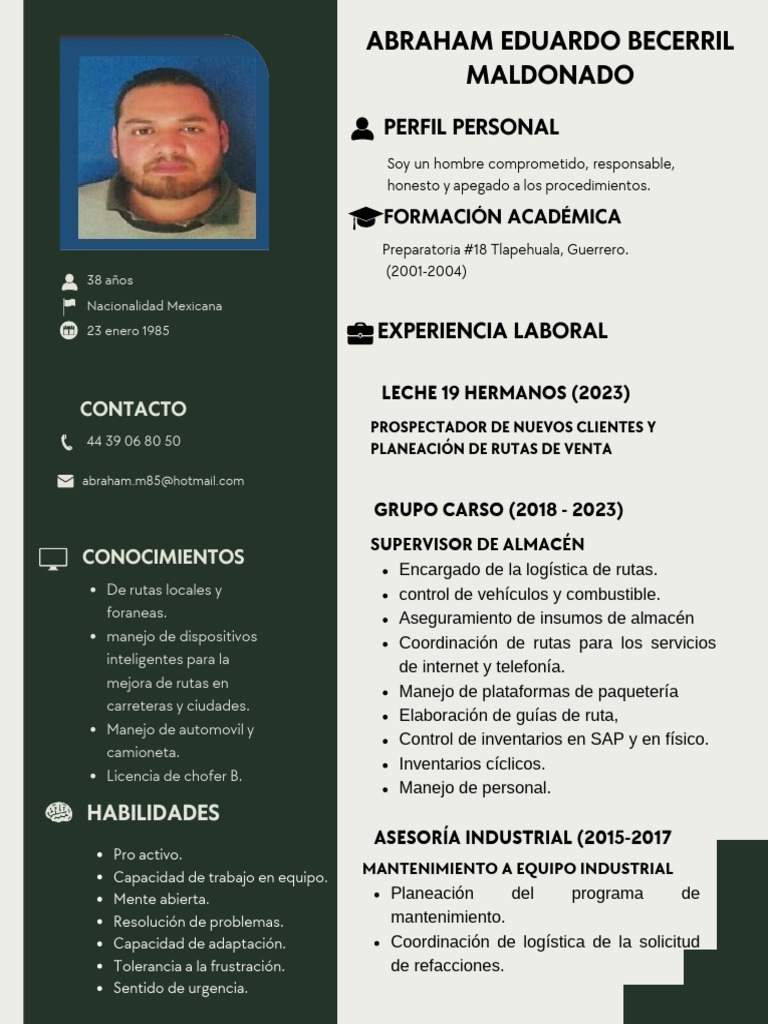 CV - Abraham Becerril Maldonado | PDF