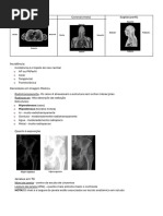 Tipos de Sequencia PDF | PDF | Imagem de ressonância magnética | Magnetismo