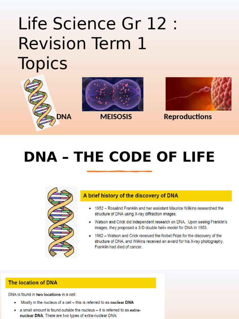 LFSC GR 12 Revision on Term 1 Topics | PDF | Meiosis | Ploidy