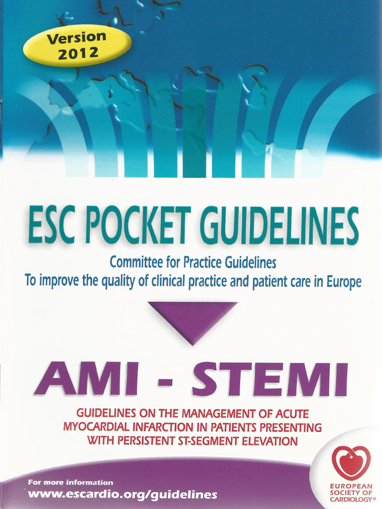 Ami-Stemi 1era Cara | PDF