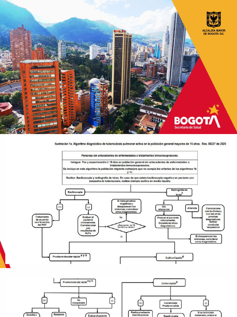 Presentacion Cap 3. Algoritmos Diagnosticos | PDF