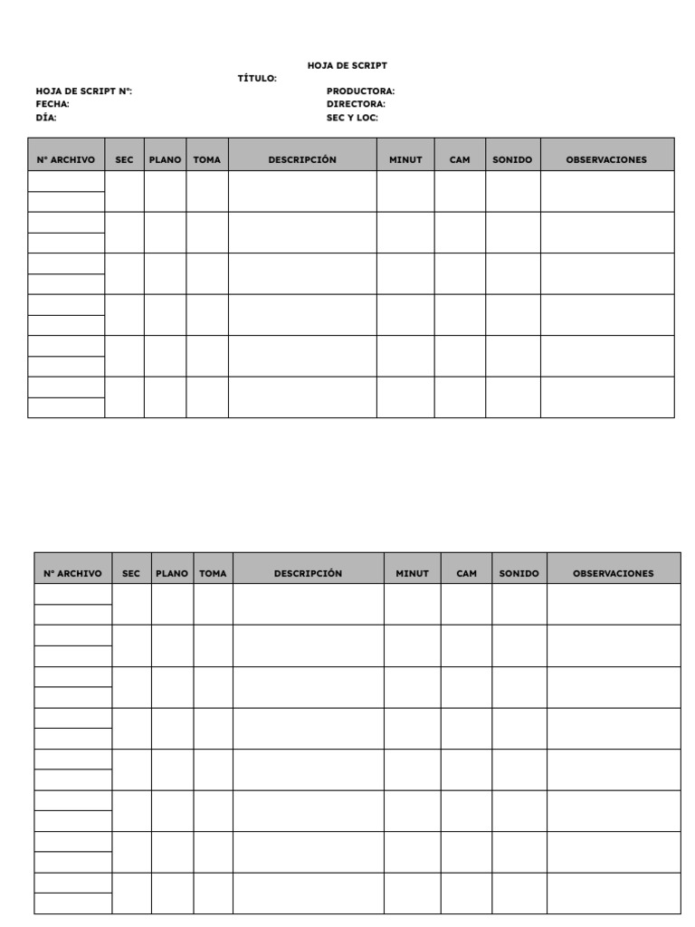 Hoja de Script | PDF