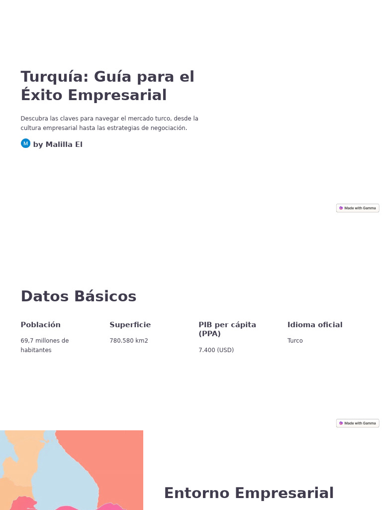 Turquia Guia para El Exito Empresarial | PDF