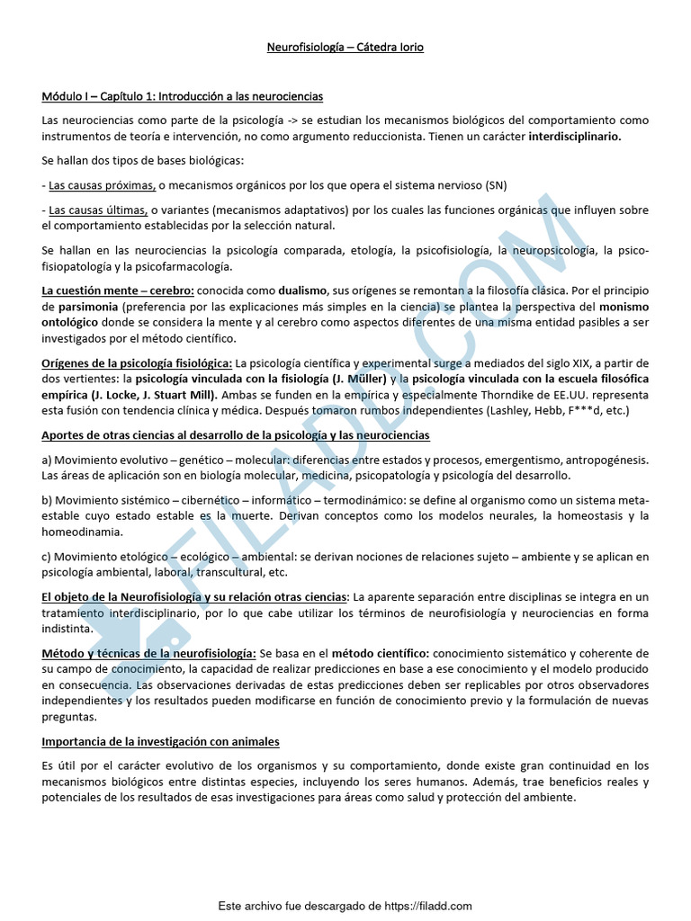 Neurofisiologia Resumen 1P | PDF | Sistema nervioso | Cerebelo