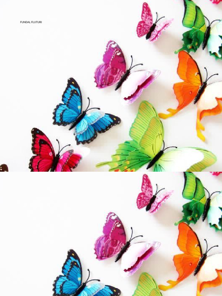 Cu Fundal Fluturi | PDF