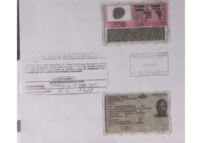 Drivers License | PDF