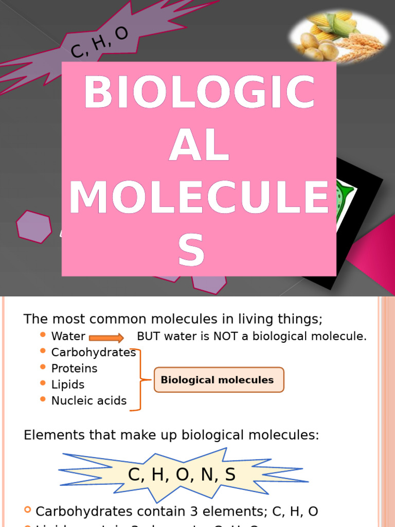 Understanding Biological Molecules and Carbohydrates | PDF ...