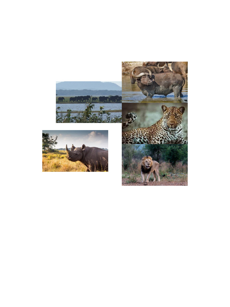 1 Poster | PDF