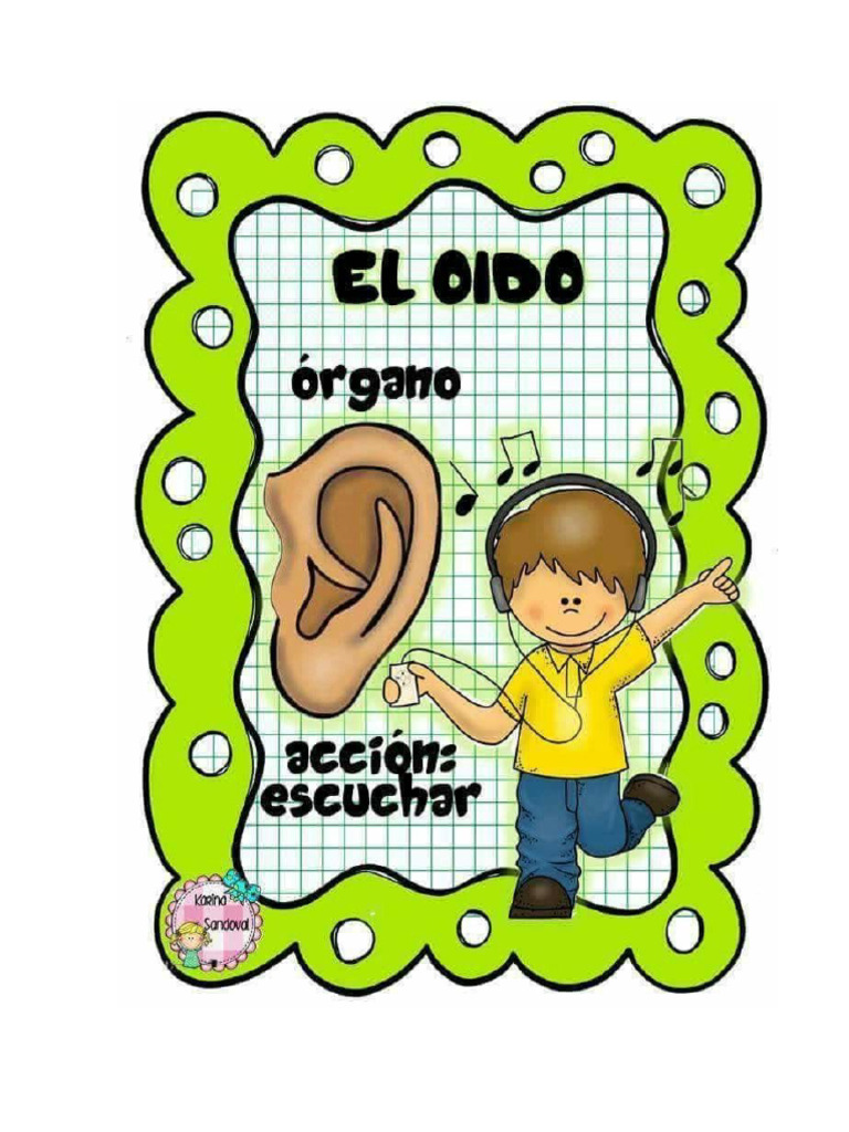 Los Cinco Sentidos | PDF