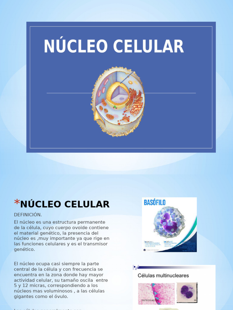 NÚCLEO | PDF