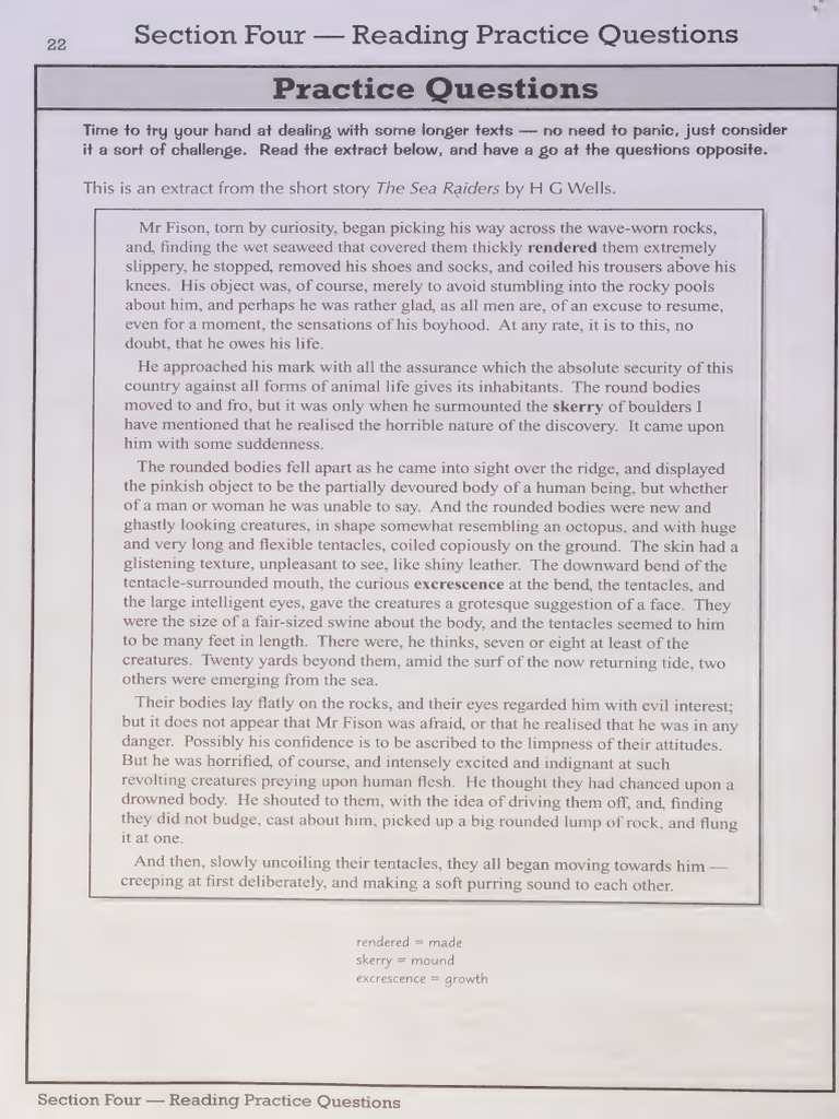 The Sea Raiders: Reading Practice Guide | PDF