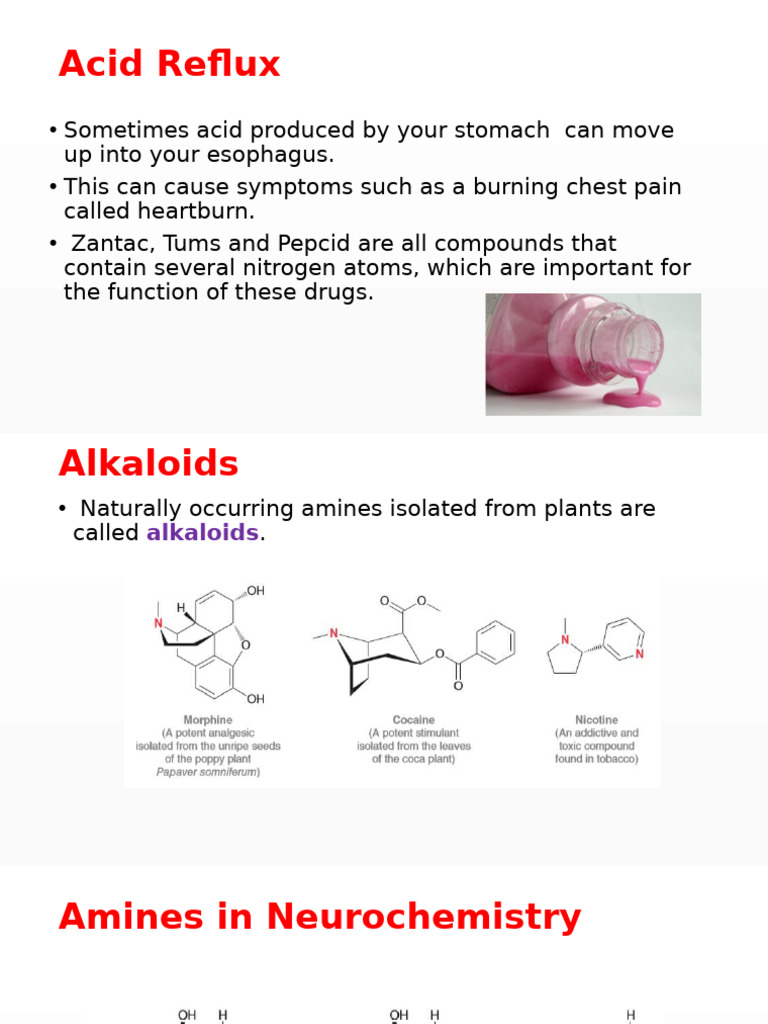 Amines (2) | PDF | Amine | Functional Group